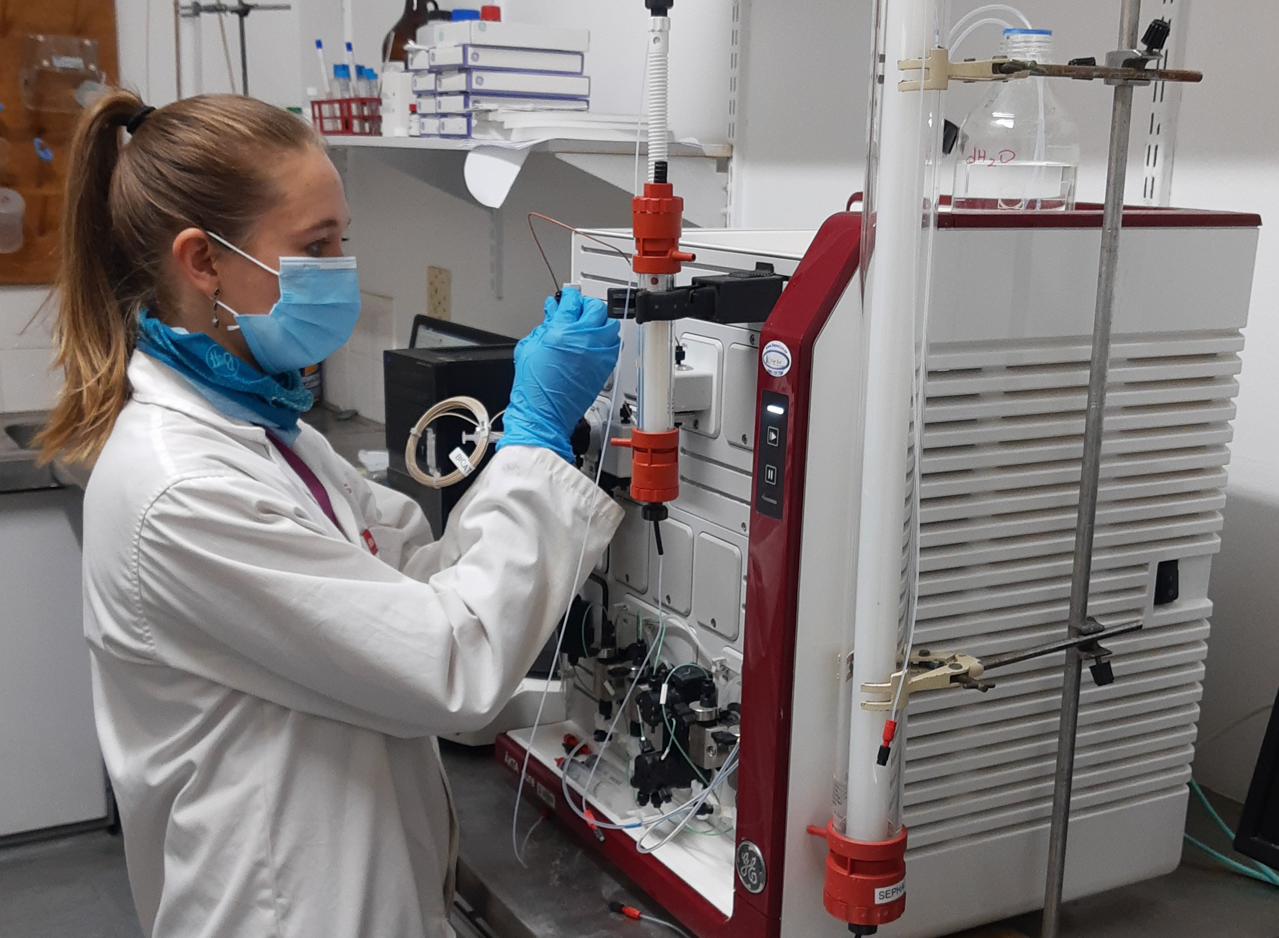 Dr Carmien Tolmie Purifying proteins using an AKTA chromatograph – GCRF ...